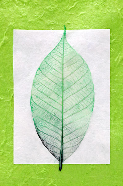 유토이미지 | 35534-0000374