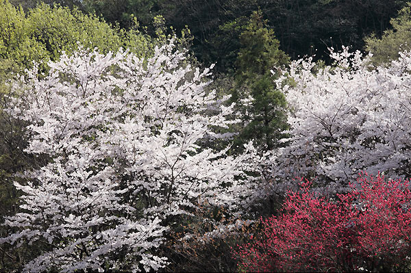 유토이미지 | 35534-0001302