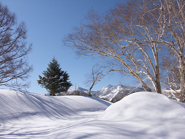 유토이미지 | 35535-0000066