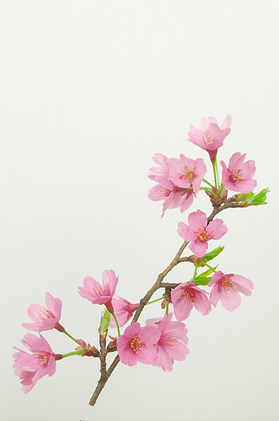 유토이미지 | 35535-0000086