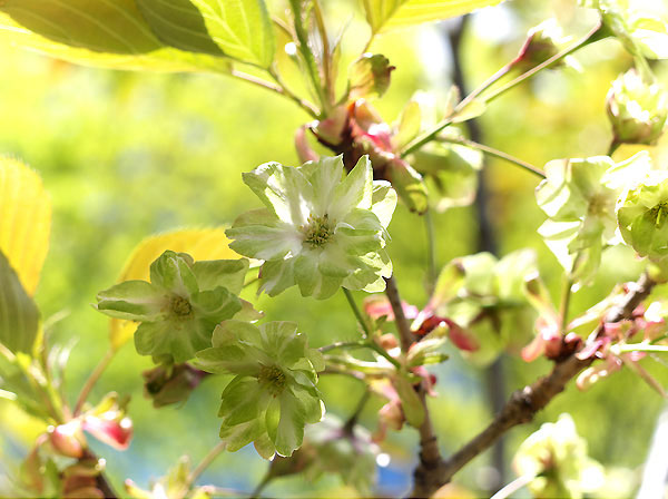 유토이미지 | 35541-0000157