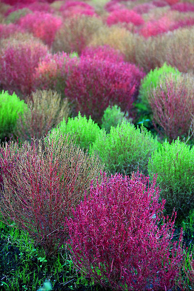 유토이미지 | 35541-0000389