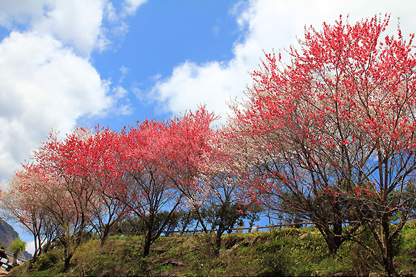 유토이미지 | 35541-0000738