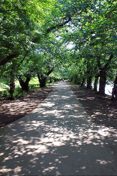 유토이미지 | 35541-0000824