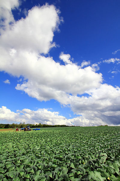 유토이미지 | 35541-0001038