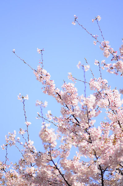 유토이미지 | 35612-0000012