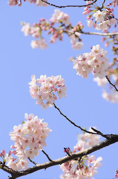 유토이미지 | 35612-0000316