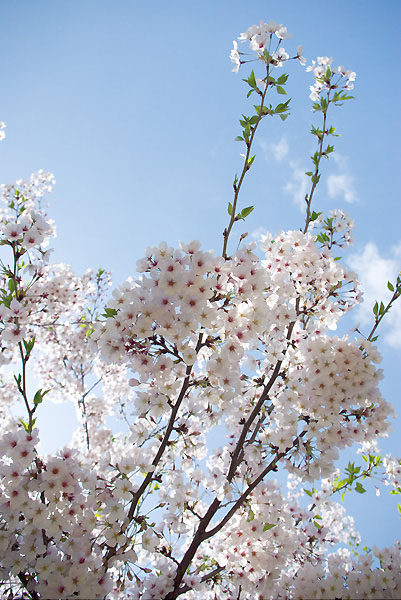 유토이미지 | 35652-0000301