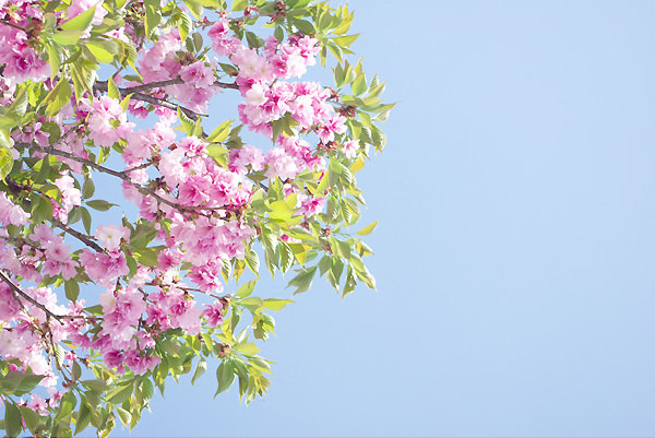 유토이미지 | 35652-0000316