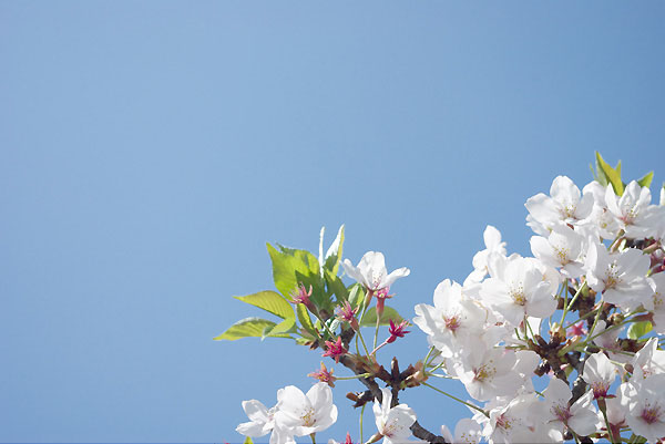 유토이미지 | 35652-0000320