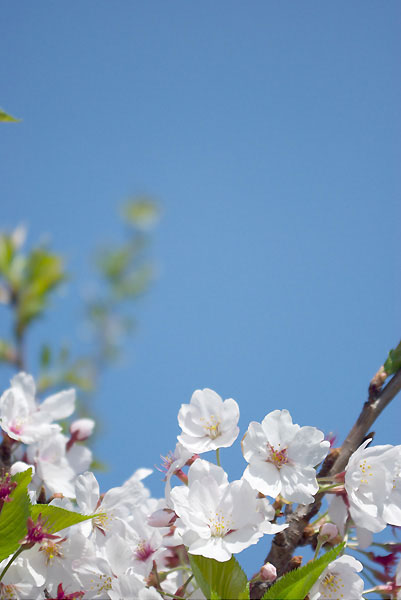 유토이미지 | 35652-0000328