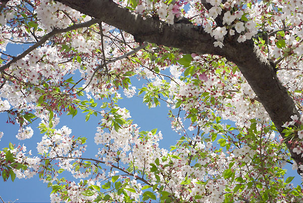 35652-0000345 | 유토이미지 | 상세페이지 | 베이직샵 | 15881400