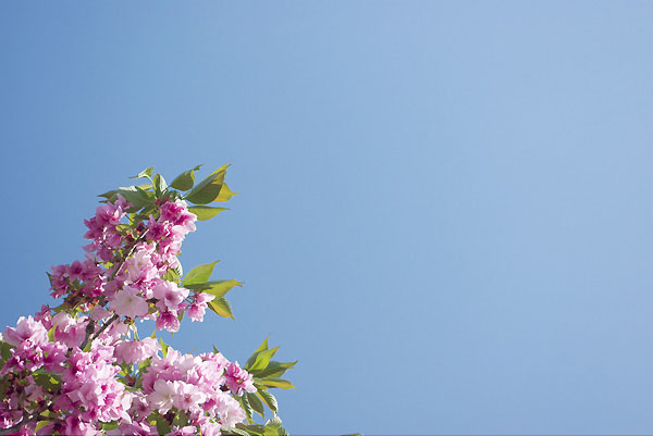 유토이미지 | 35652-0000348