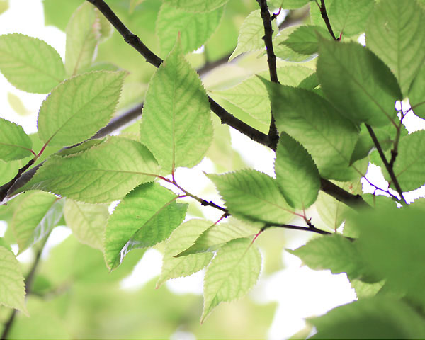 유토이미지 | 35652-0000933