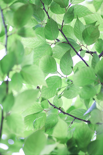 유토이미지 | 35652-0000941