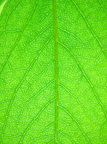 유토이미지 | 35652-0001157