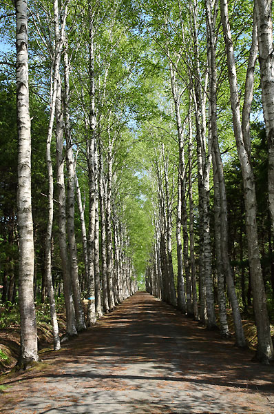 유토이미지 | 35664-0000030