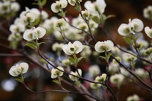 유토이미지 | 35664-0000032