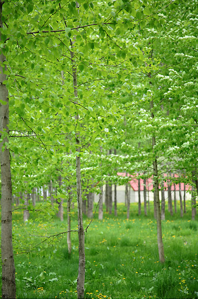 35664-0000083 | 유토이미지 | 상세페이지 | 베이직샵 | 15888110