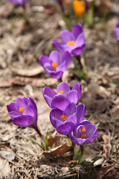 유토이미지 | 35664-0000174