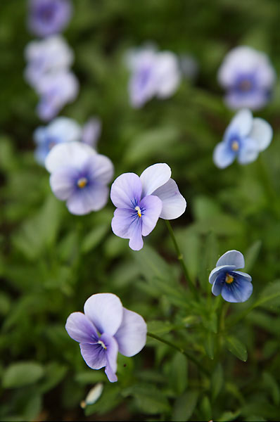 유토이미지 | 35664-0000179