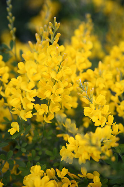 유토이미지 | 35664-0000251