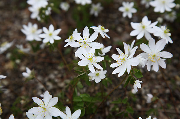 유토이미지 | 35664-0000293