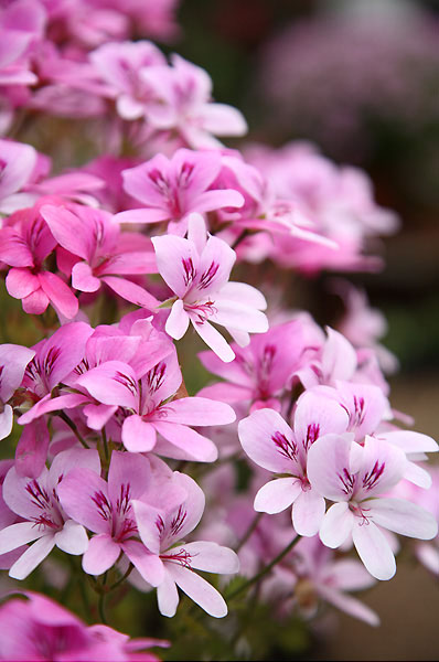 유토이미지 | 35664-0000378