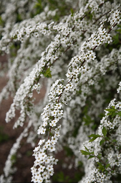 유토이미지 | 35664-0000388