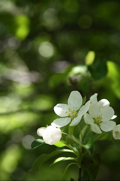 유토이미지 | 35664-0000412
