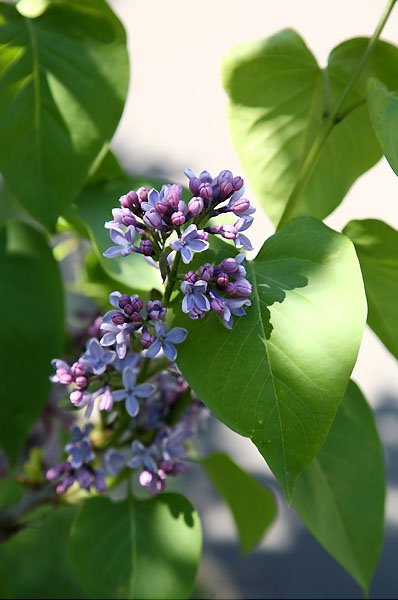 유토이미지 | 35664-0000416