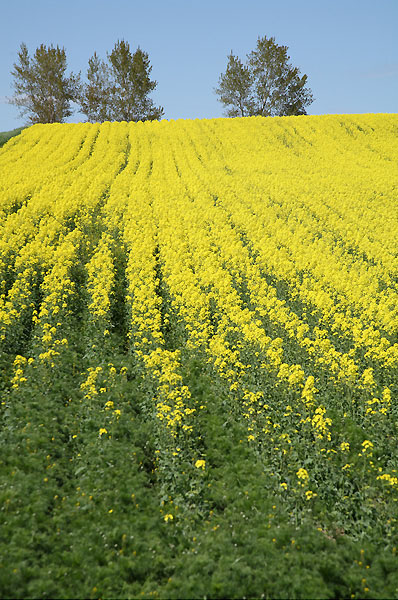 유토이미지 | 35664-0000433