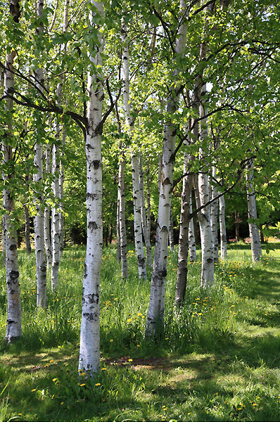 유토이미지 | 35664-0000447