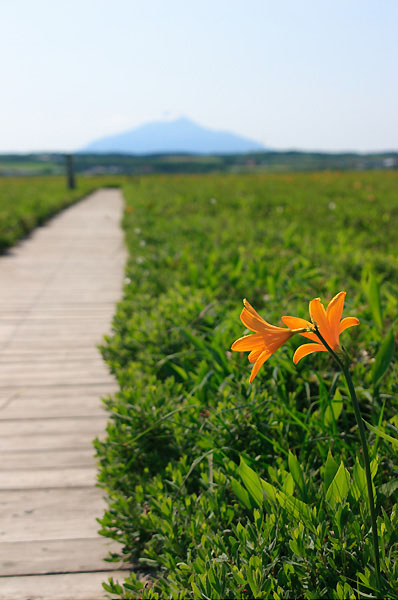 35664-0000475 | 유토이미지 | 상세페이지 | 베이직샵 | 15889565