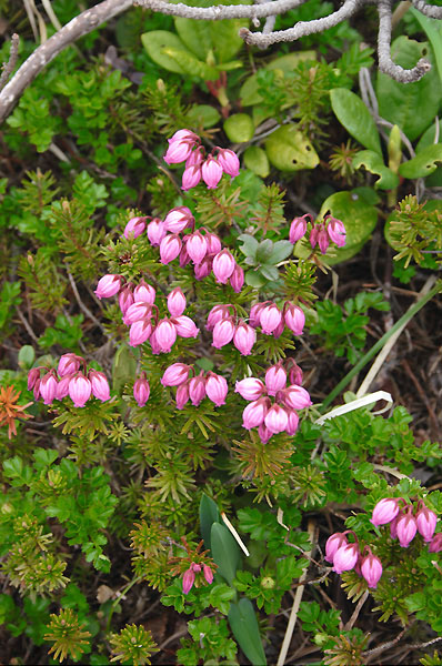 35664-0000522 | 유토이미지 | 상세페이지 | 베이직샵 | 15889720