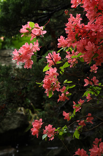 유토이미지 | 35664-0000531