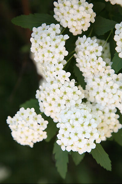 유토이미지 | 35664-0000637