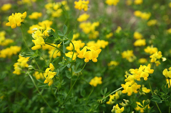 유토이미지 | 35664-0000668