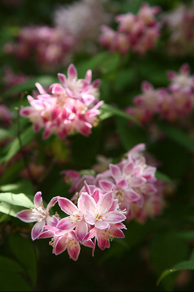 유토이미지 | 상세페이지 | 베이직샵 | 15890433 | 35664-0000683