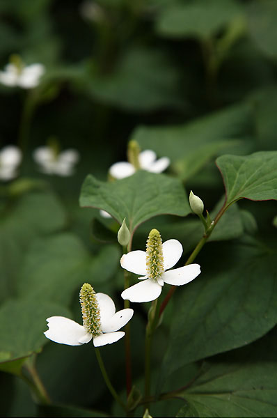 유토이미지 | 35664-0000775