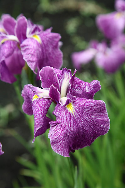 유토이미지 | 35664-0000799