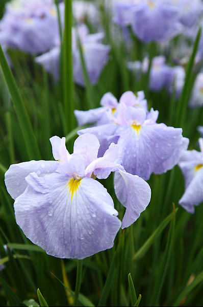 유토이미지 | 35664-0000805