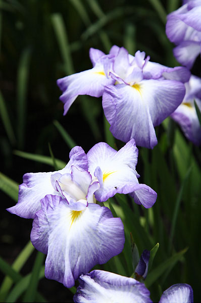 유토이미지 | 35664-0000815