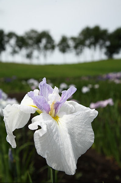 유토이미지 | 35664-0000821