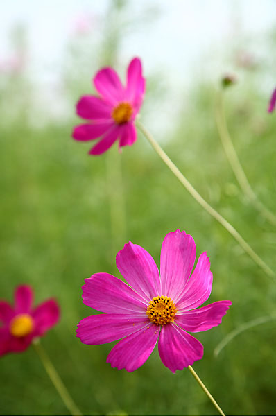 유토이미지 | 35664-0000871