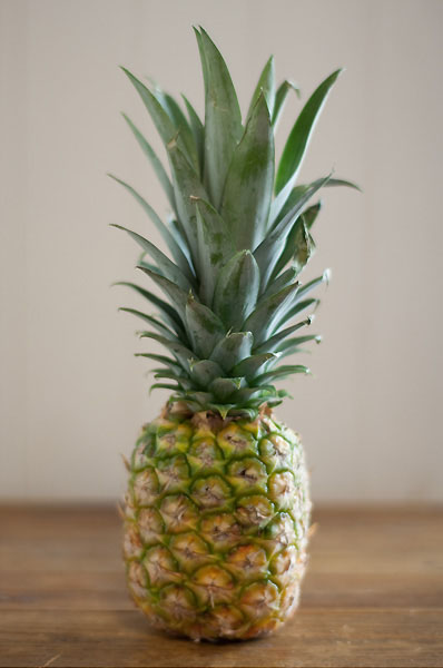 유토이미지 | 상세페이지 | 베이직샵 | 15893675 | 35691-0000117