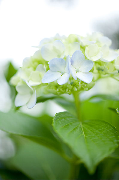 유토이미지 | 35691-0000800