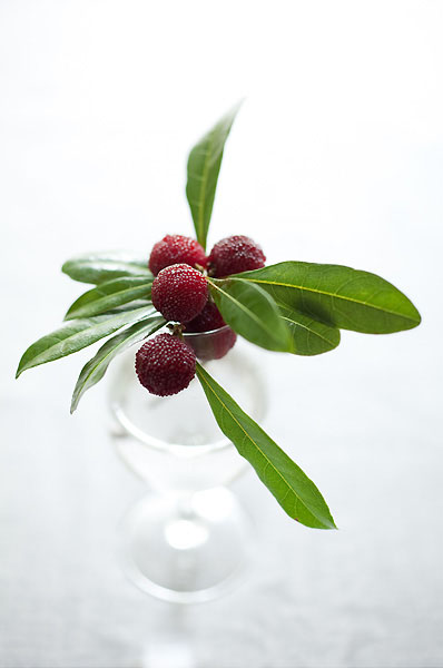 유토이미지 | 35691-0000854