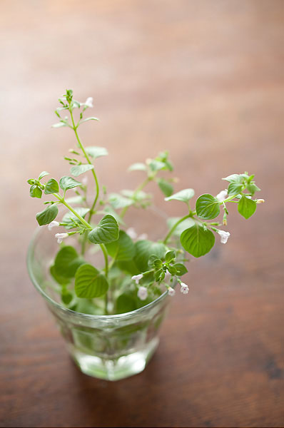 유토이미지 | 35691-0000871