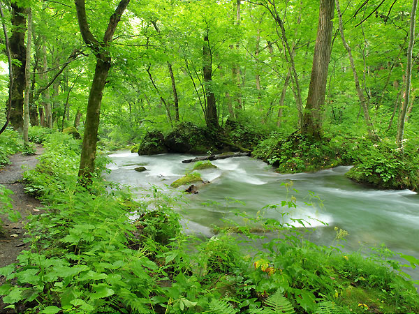 유토이미지 | 35697-0000028